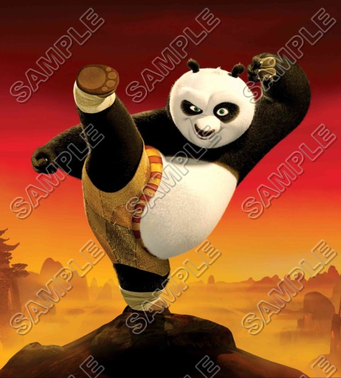 Kung Fu Panda T Shirt Iron on Transfer Decal ~#7