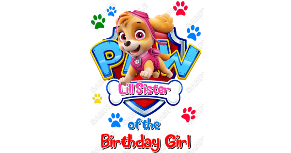 Paw Patrol Skye Birthday Custom Personalized Iron on ...