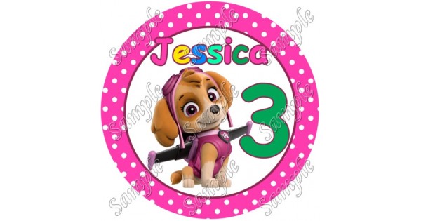 Paw Patrol Skye Birthday Custom Personalized T Shirt Iron ...