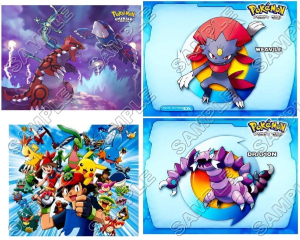 Pokemon T Shirt Iron on Transfer Decal ~#17