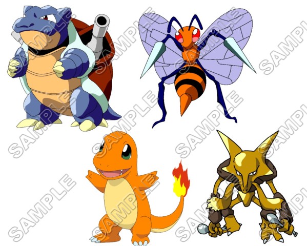 Pokemon T Shirt Iron on Transfer Decal ~#19