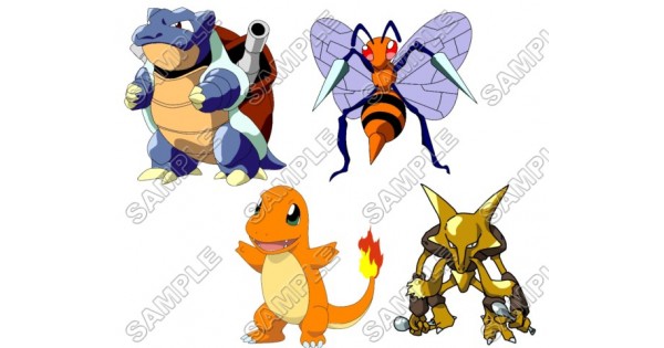 Pokemon T Shirt Iron on Transfer Decal ~#19